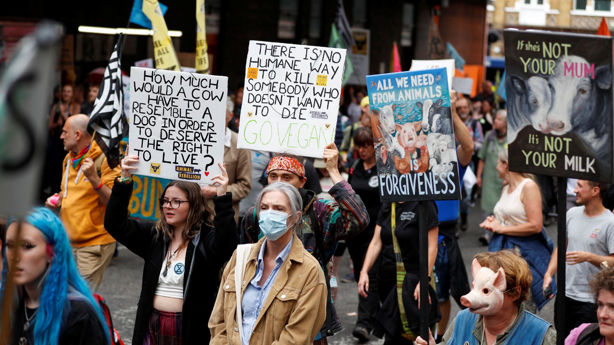 Animal Rebellion: Hundreds of animal rights protesters linked to ...