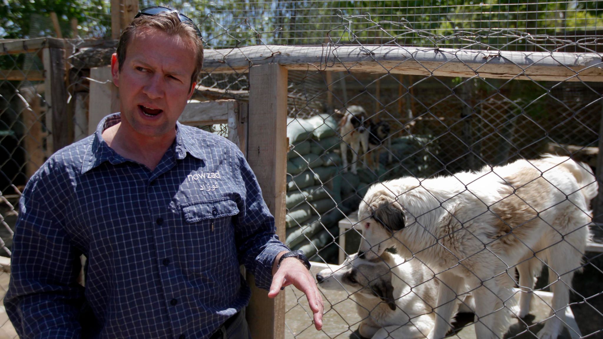 Afghanistan: Pen Farthing has 'mixed emotions' after landing in UK with ...