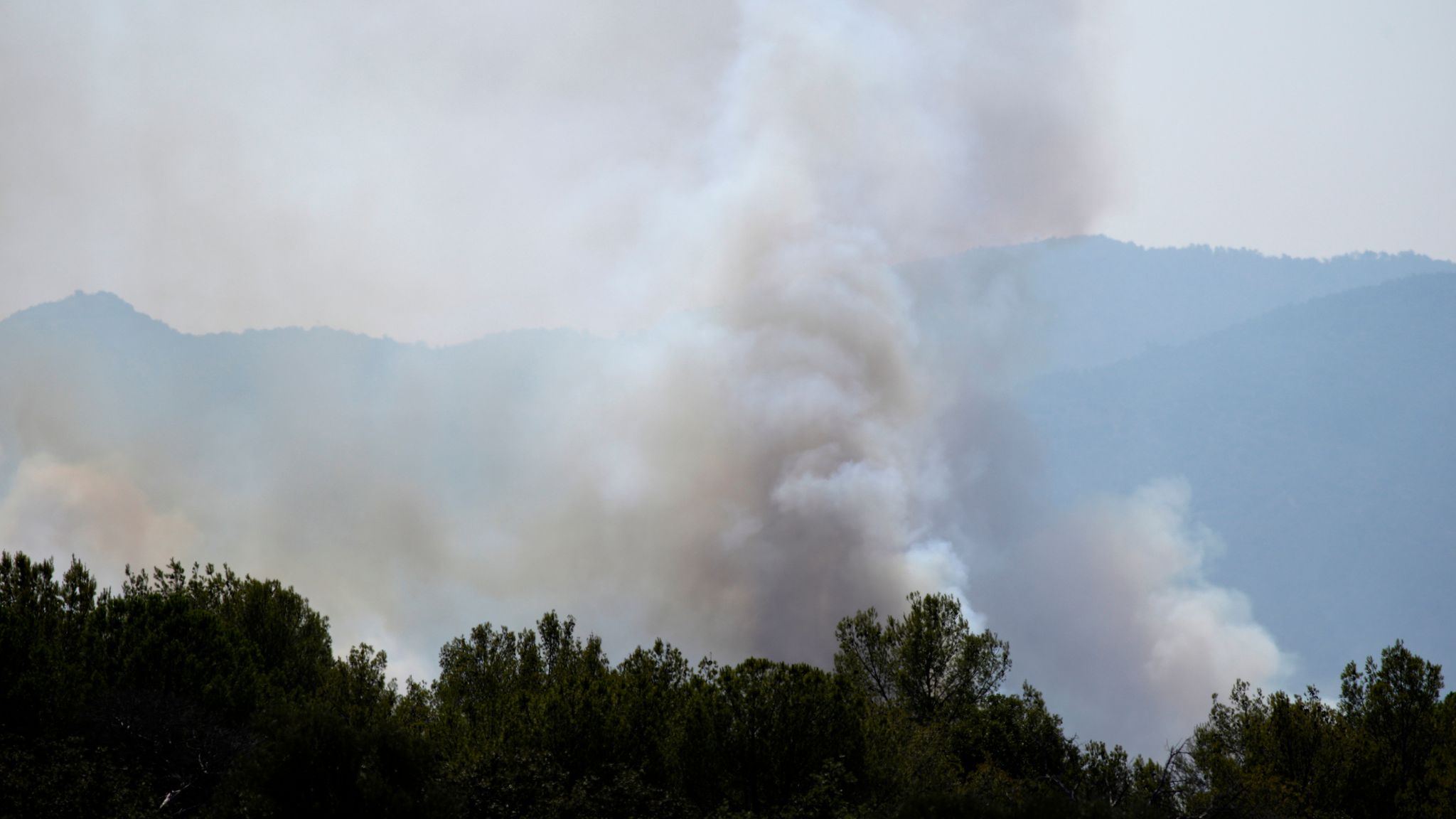Thousands evacuated as wildfire races through forests near French ...