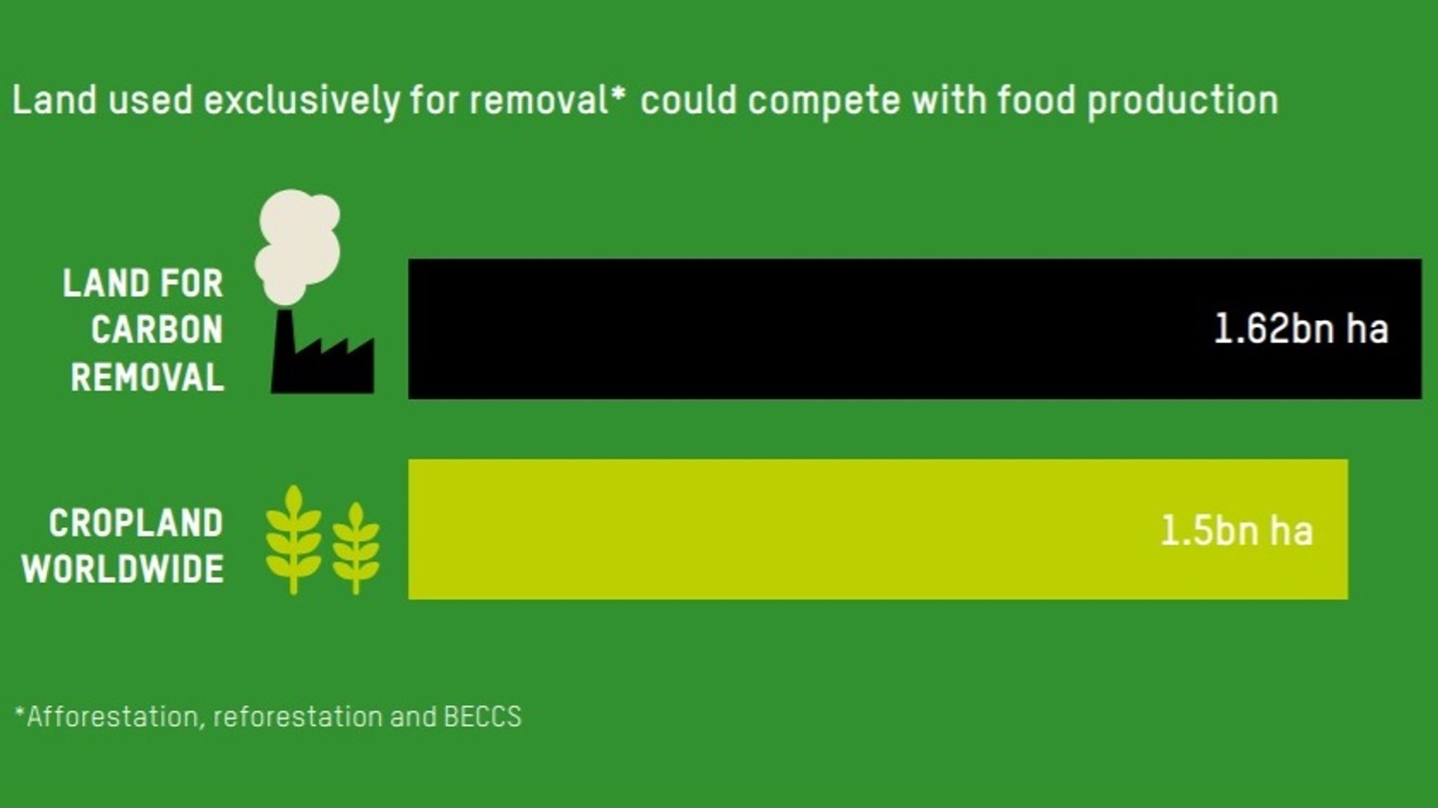 Net zero targets could trigger 'mass hunger and displacement across the ...