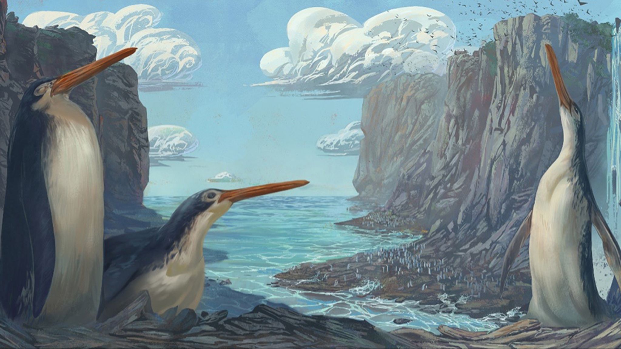 New Zealand: Prehistoric giant penguin species identified from fossil ...