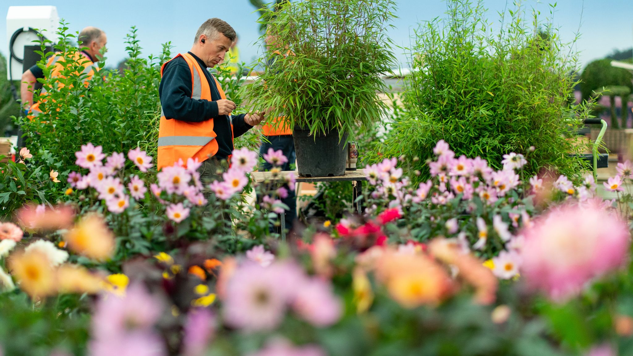 Chelsea Flower Show returns with debut autumn showcase | UK News | Sky News