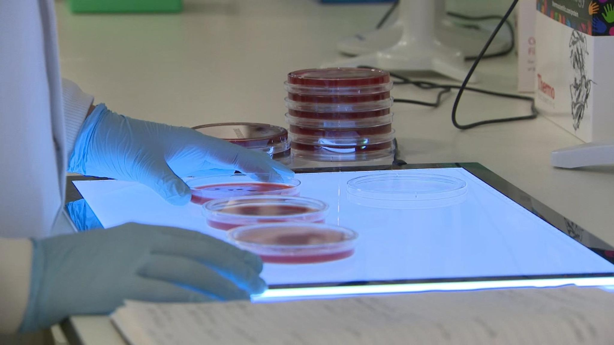 COVID-19: Scientific institute to fight future pandemics launches - and ...