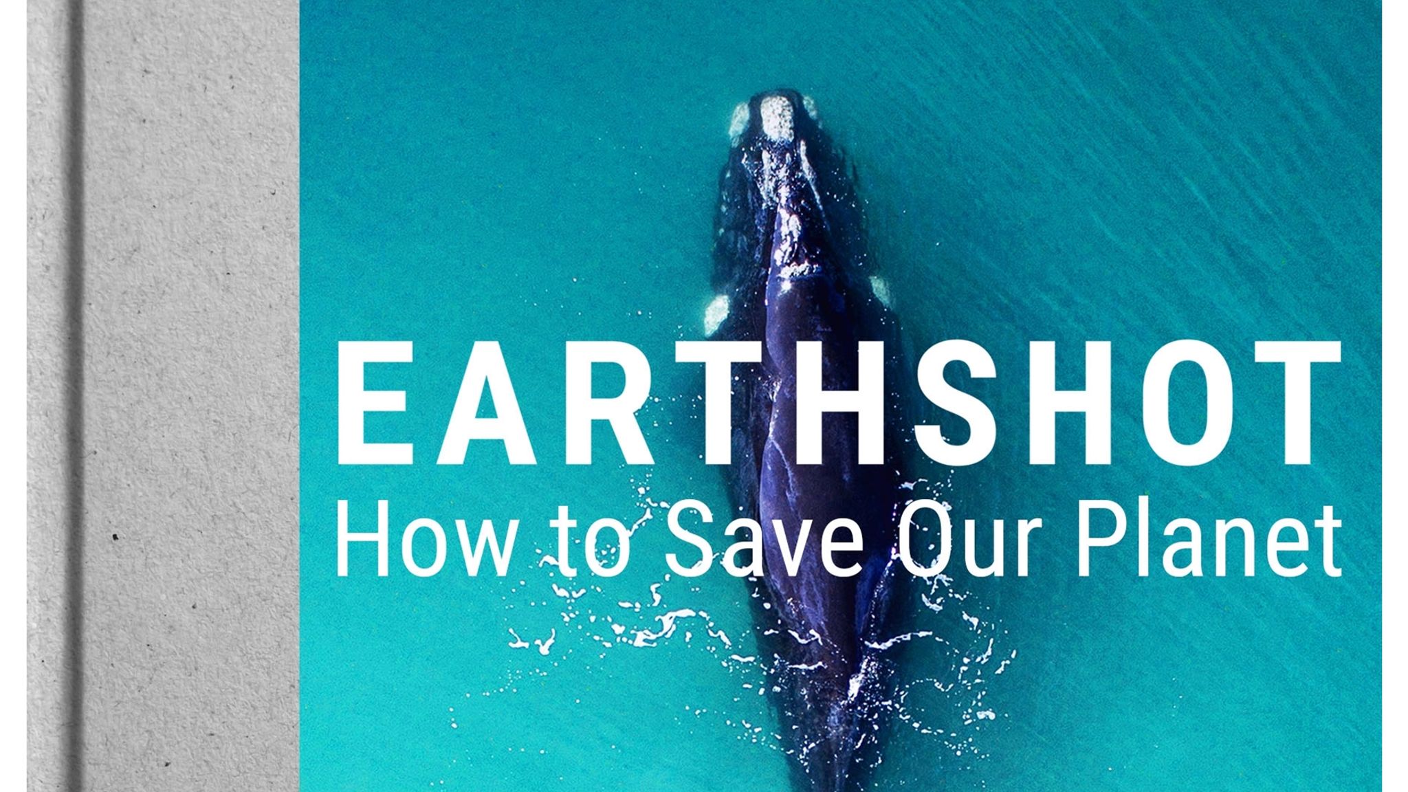 Prince William launched Earthshot Prize so he 'could look his children ...