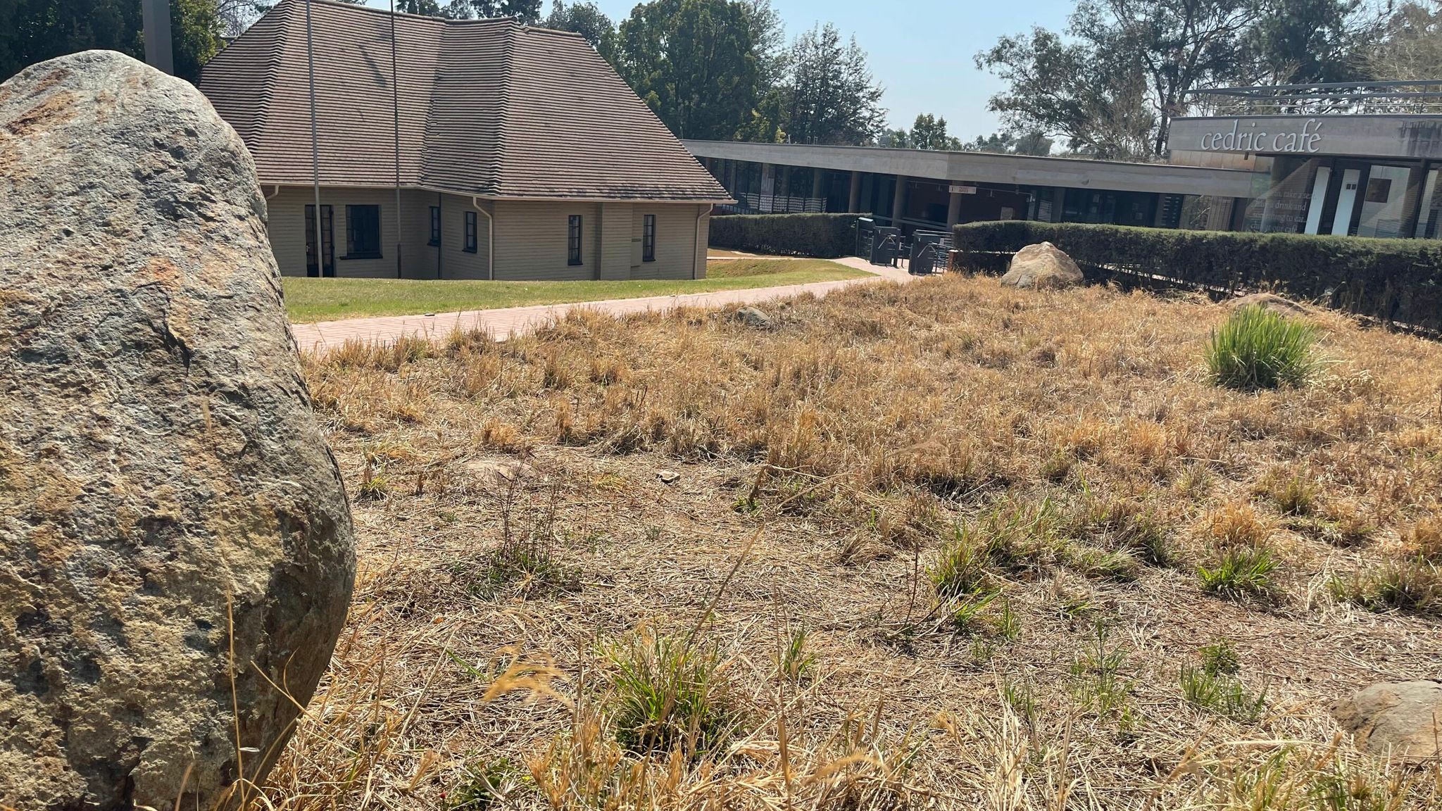 South Africa: Farm where Nelson Mandela started anti-apartheid journey ...