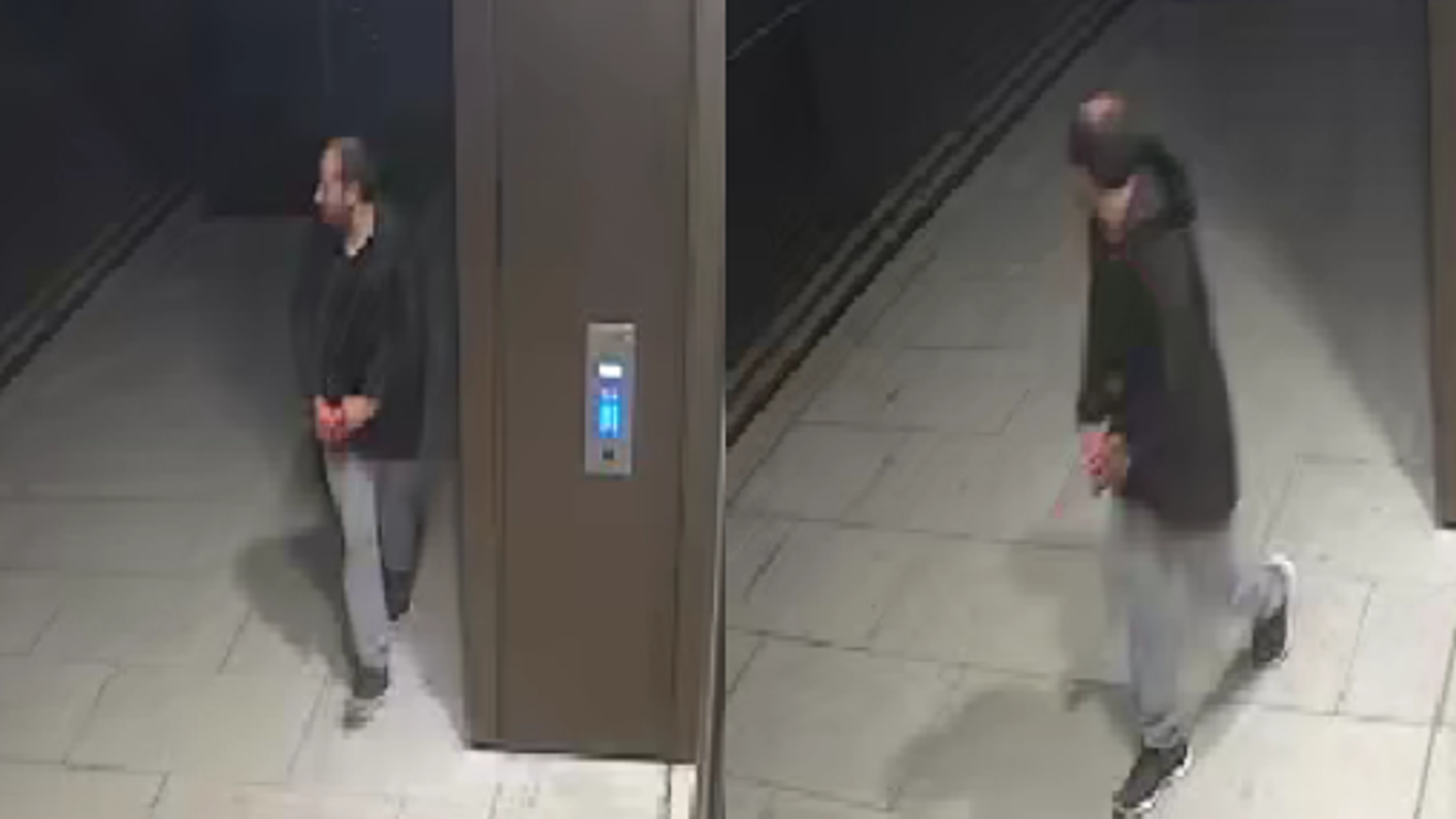 Sabina Nessa murder: Hunt for man caught on CCTV as police arrest ...