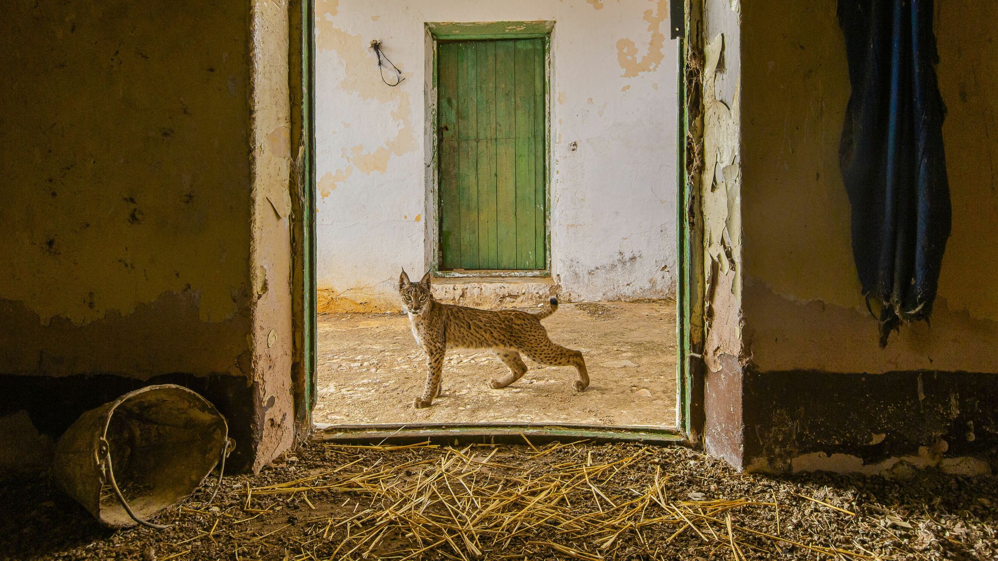 Natural History Museum's Wildlife Photographer of the Year exhibition ...