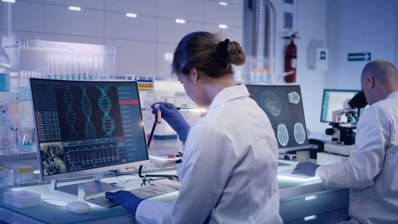 British-built rockets and gene-edited meat: Minister reveals vision to ...