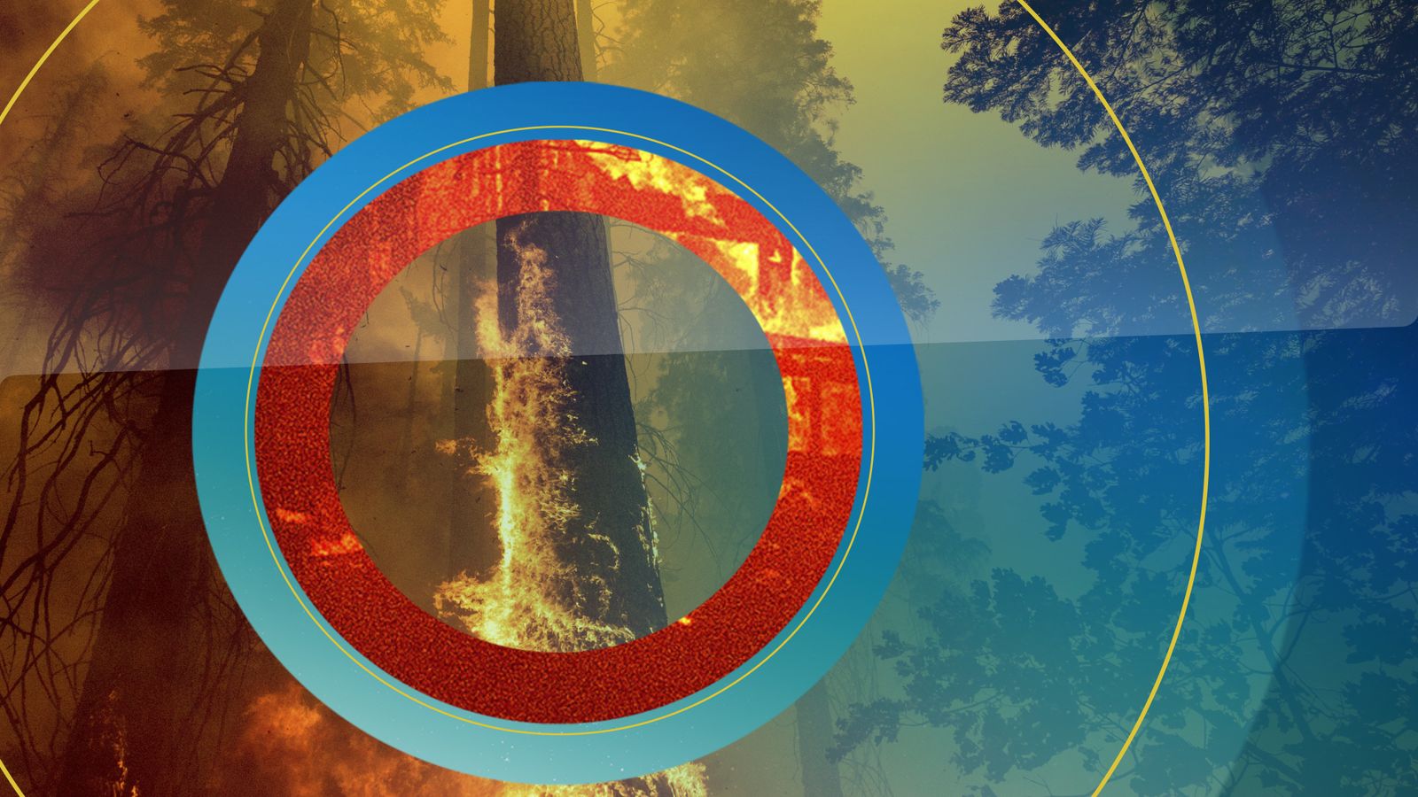 2021: A year of some of the most extreme weather ever seen | Climate ...