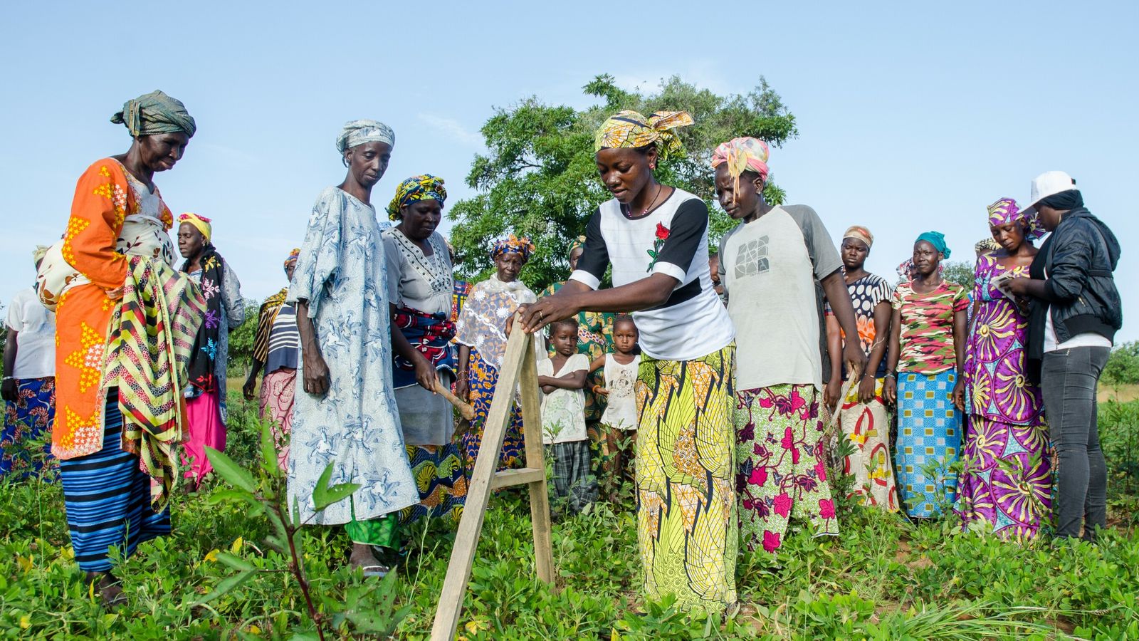 Climate change: Is carbon offsetting a 'dangerous distraction' or ...