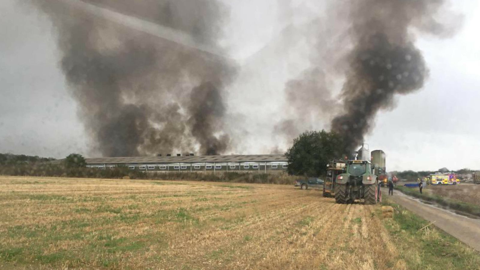 Pigs killed after large fire breaks out at farm in Oxfordshire | UK ...