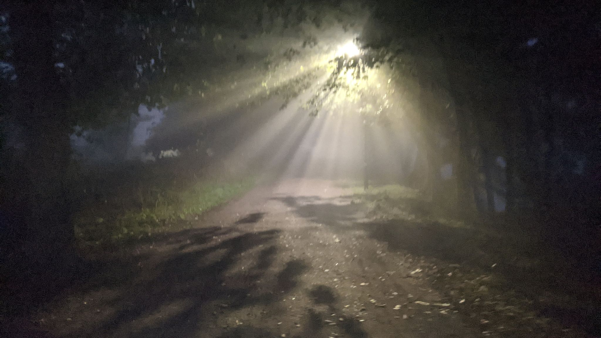 UK weather: Heavy fog alert issued as drivers warned of potential ...