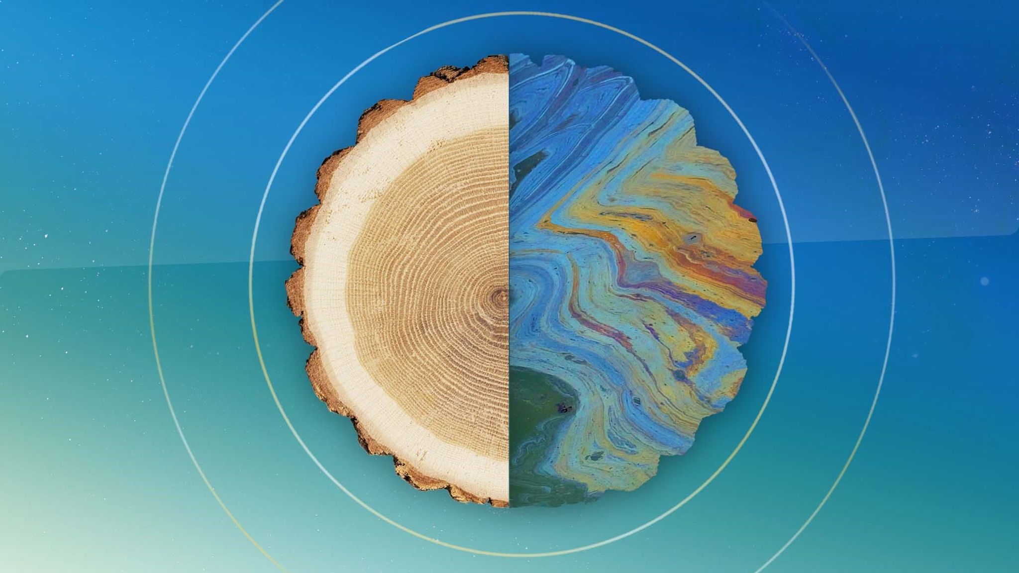 Climate change: Is carbon offsetting a 'dangerous distraction' or ...