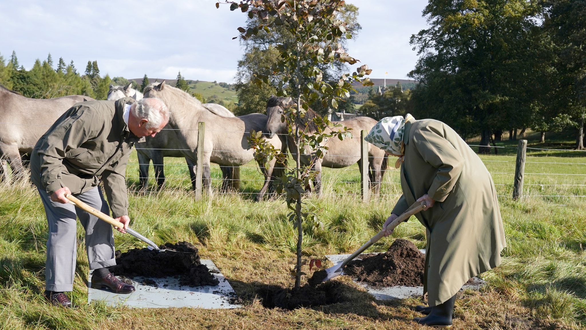 Queen and Prince Charles plant tree at Balmoral Castle as part of ...