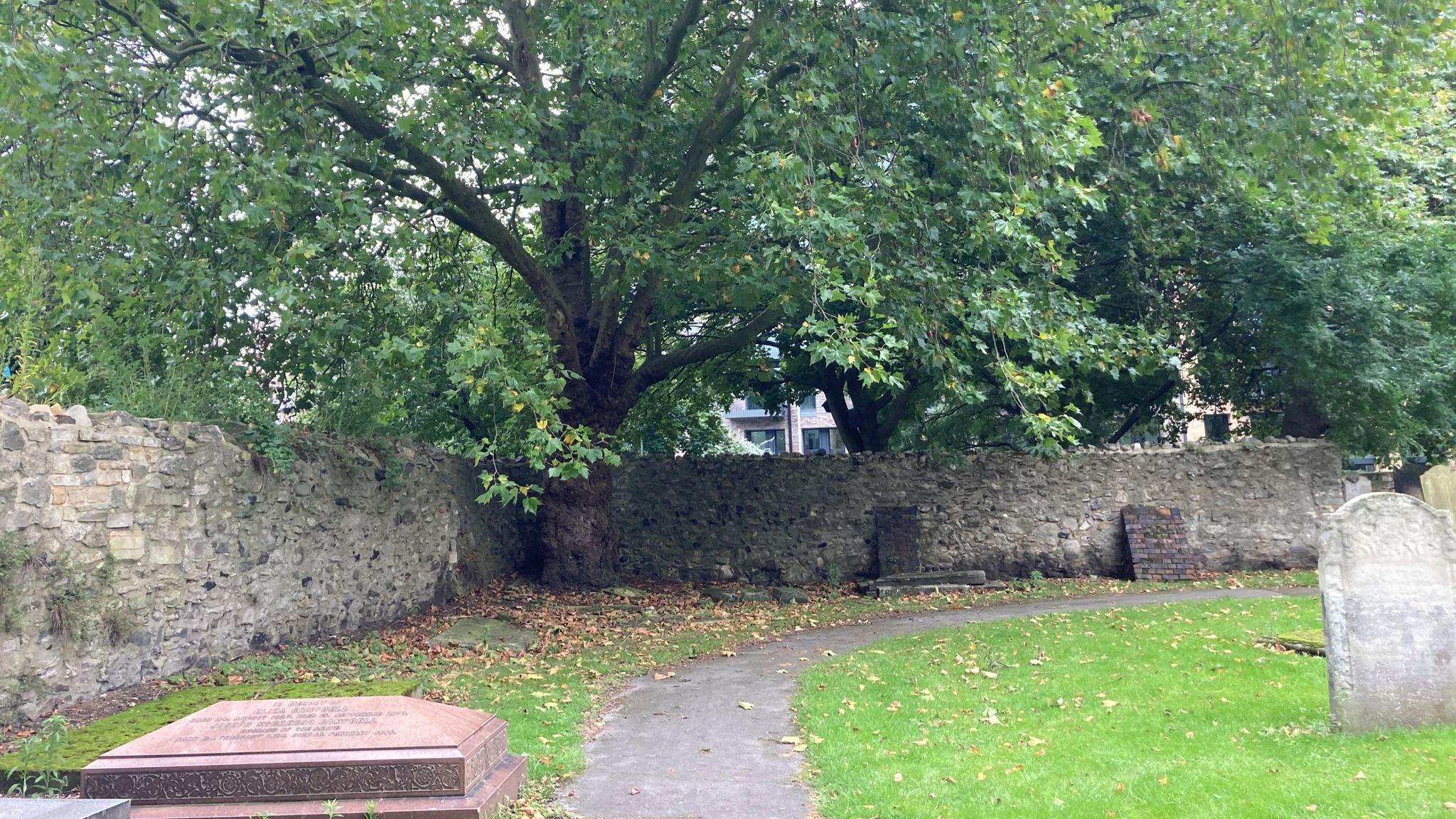 Stephen Port: Serial killer's first victim Anthony Walgate may have ...