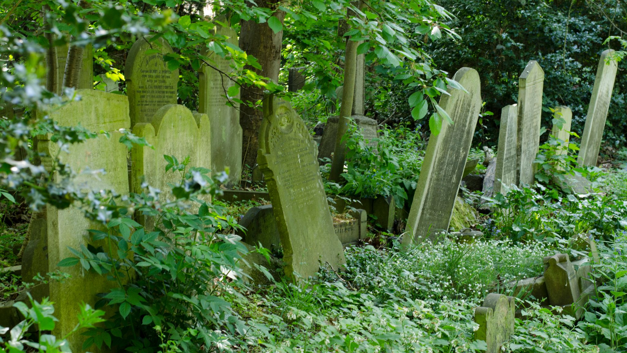 Metropolitan Police offering £20,000 reward as part of Tower Hamlets ...