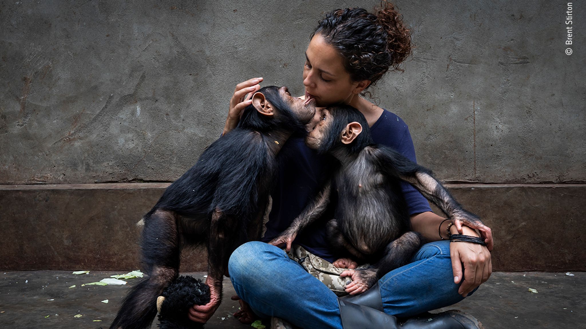 Wildlife Photographer Of The Year: The best animal and nature images of ...