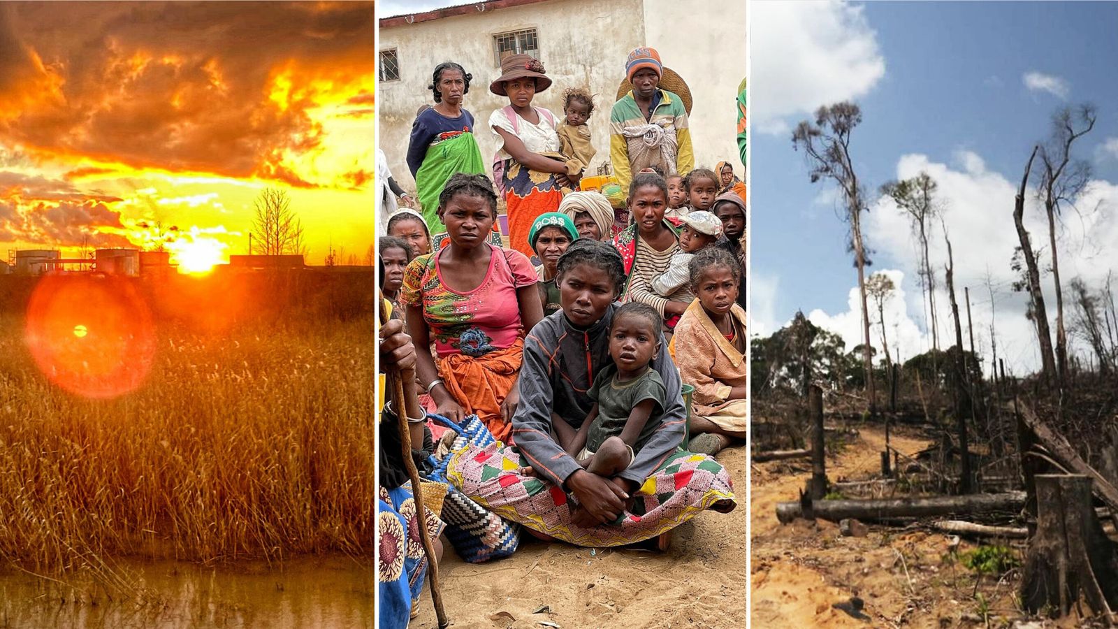 Hotter, drier and more deadly - reports from the frontline of climate change | Sky News
