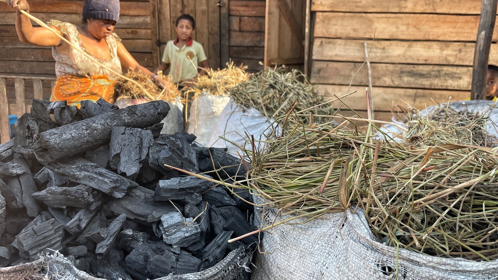 Poverty fuelled by climate change is driving deforestation and poaching ...