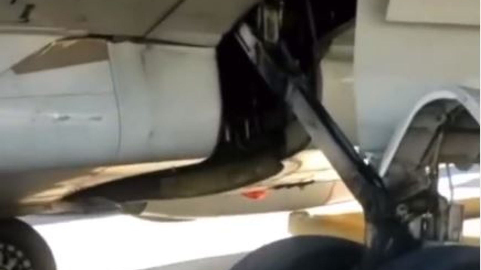 Stowaway hidden in plane's wheel well survives over two-hour flight to ...
