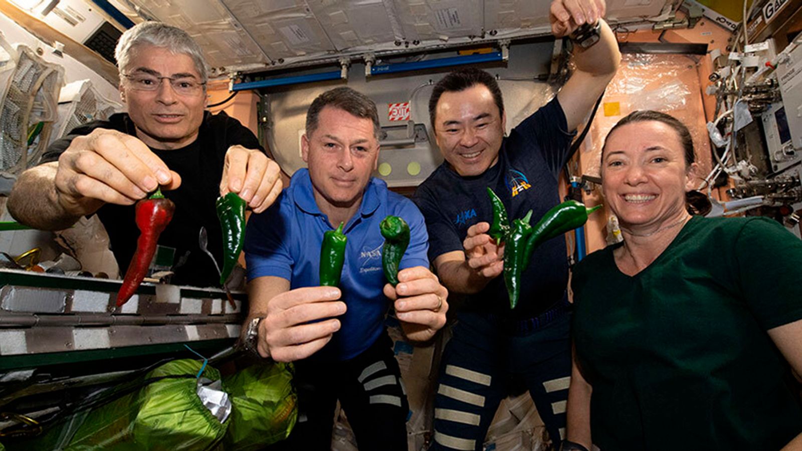NASA astronauts to wear nappies on journey back from ISS due to broken ...