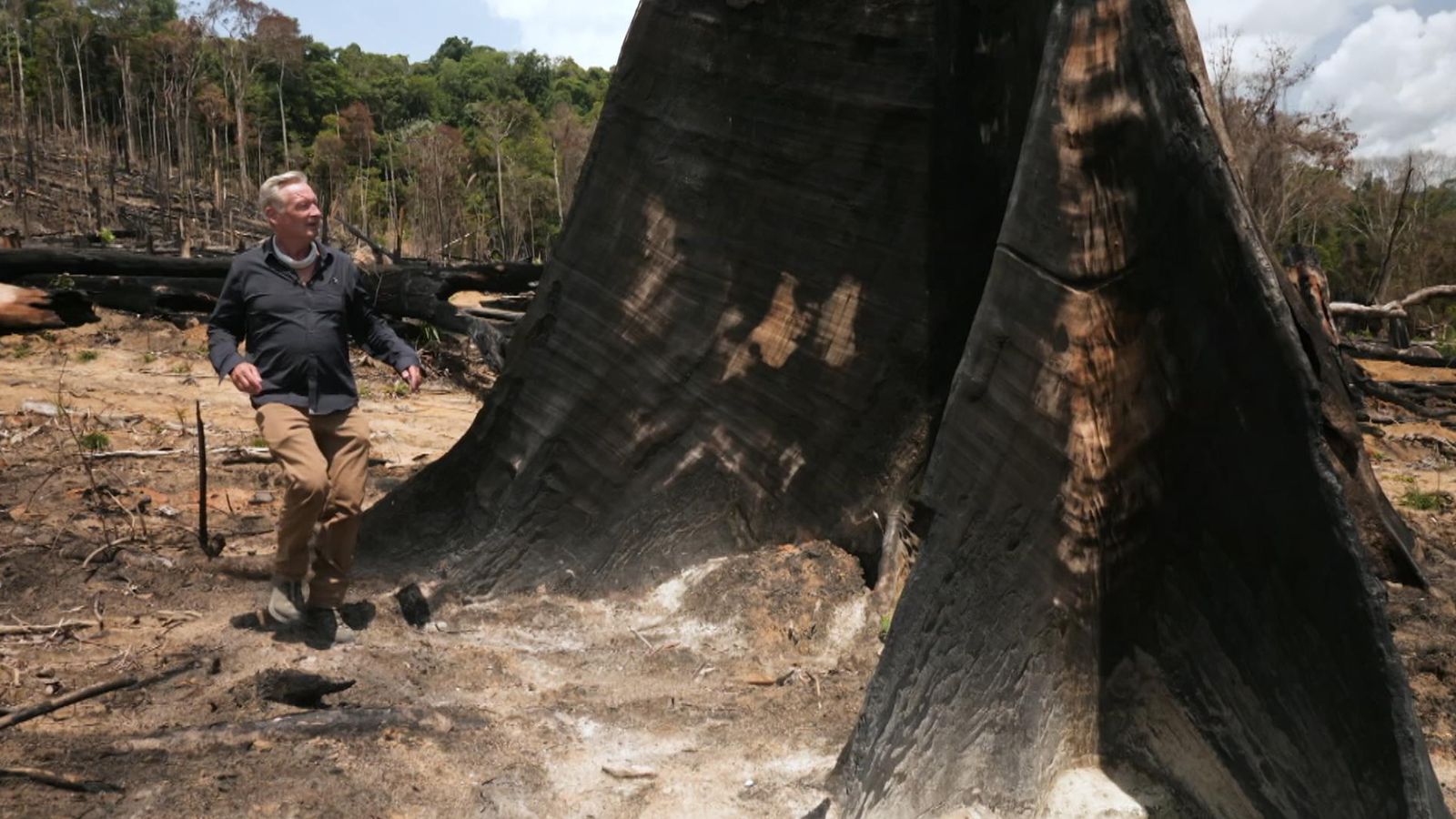 COP26: The Amazon can't defend itself any more - and in this part of ...