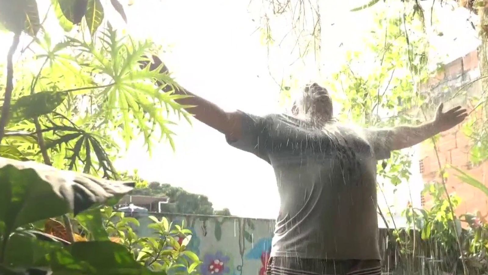 Brazil: Rio de Janeiro man turns his favela into a 'green house' | News ...
