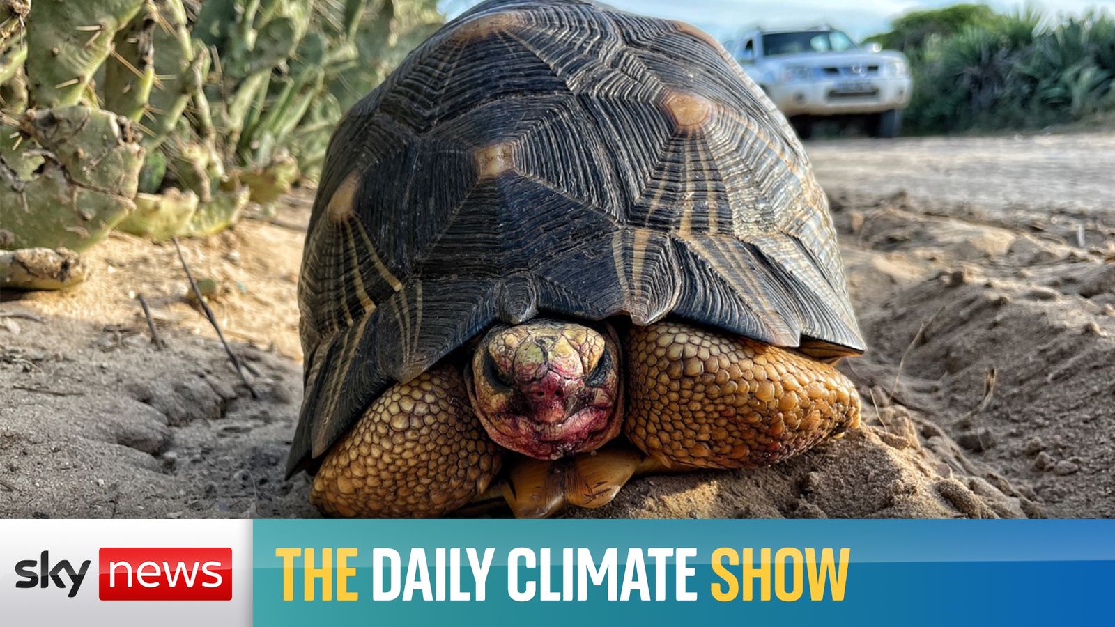 The Daily Climate Show: On the frontline of climate crisis in ...