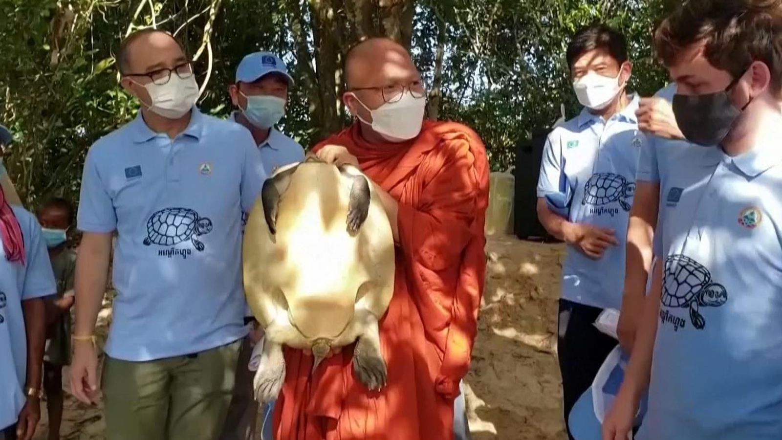 Video: Cambodia's endangered royal turtles released into wild | World ...