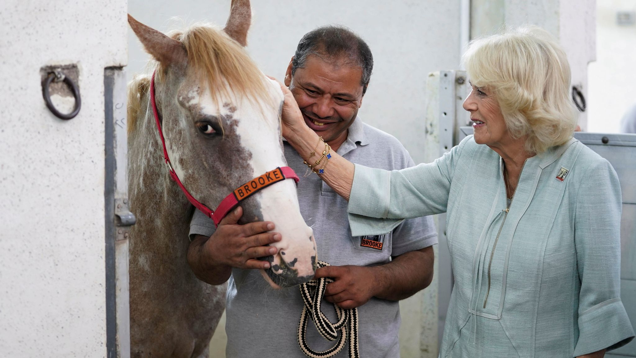 Camilla: From Mrs Parker Bowles to Queen | UK News | Sky News
