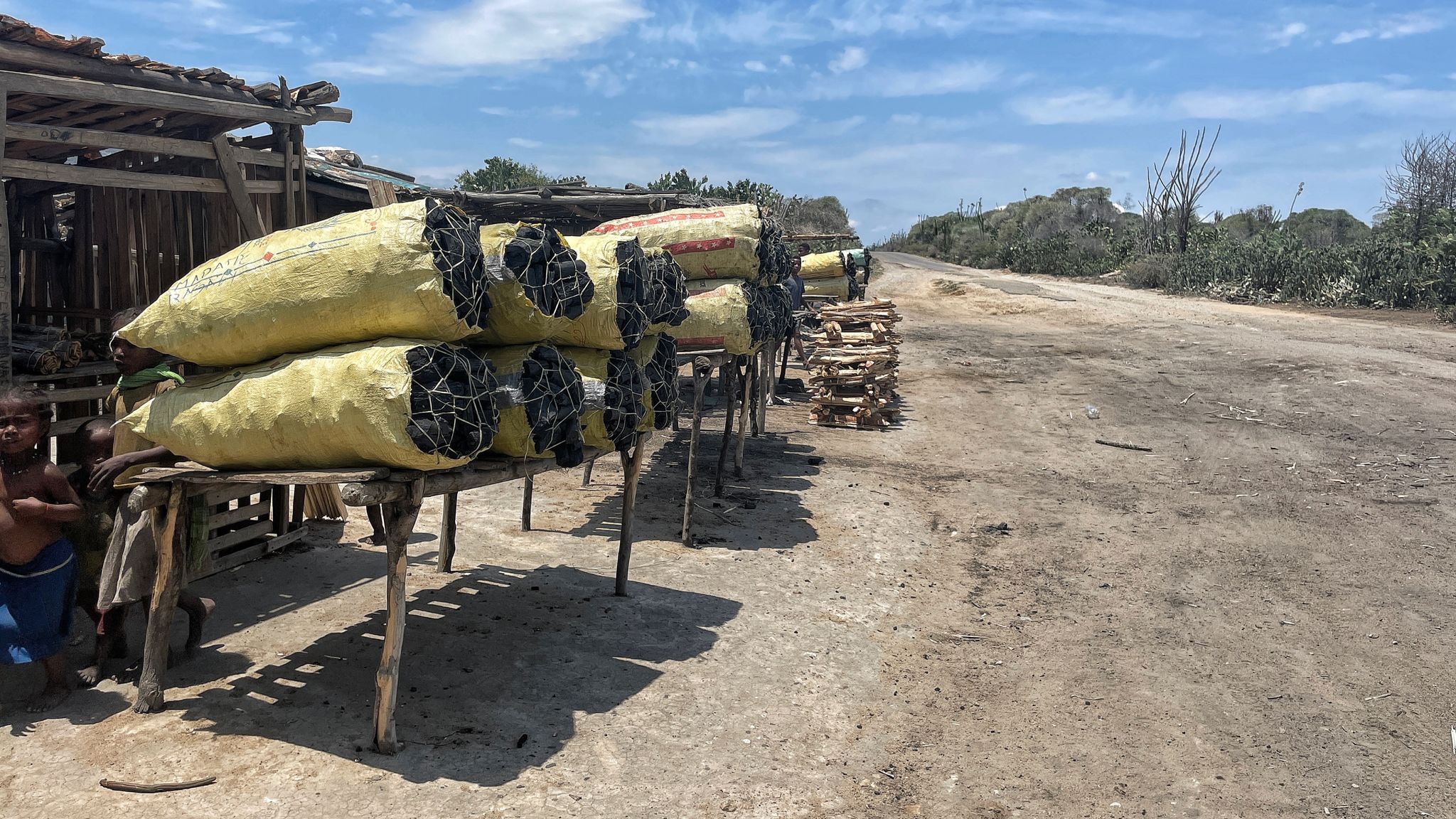 Madagascar is on the brink of famine caused by climate change, with ...