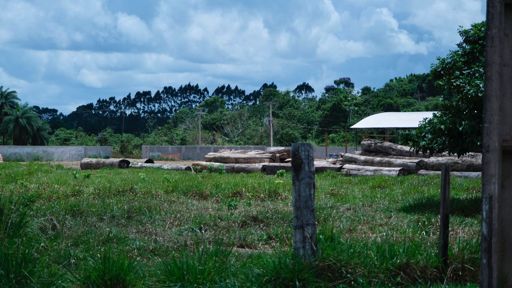 COP26: The Amazon can't defend itself any more - and in this part of ...