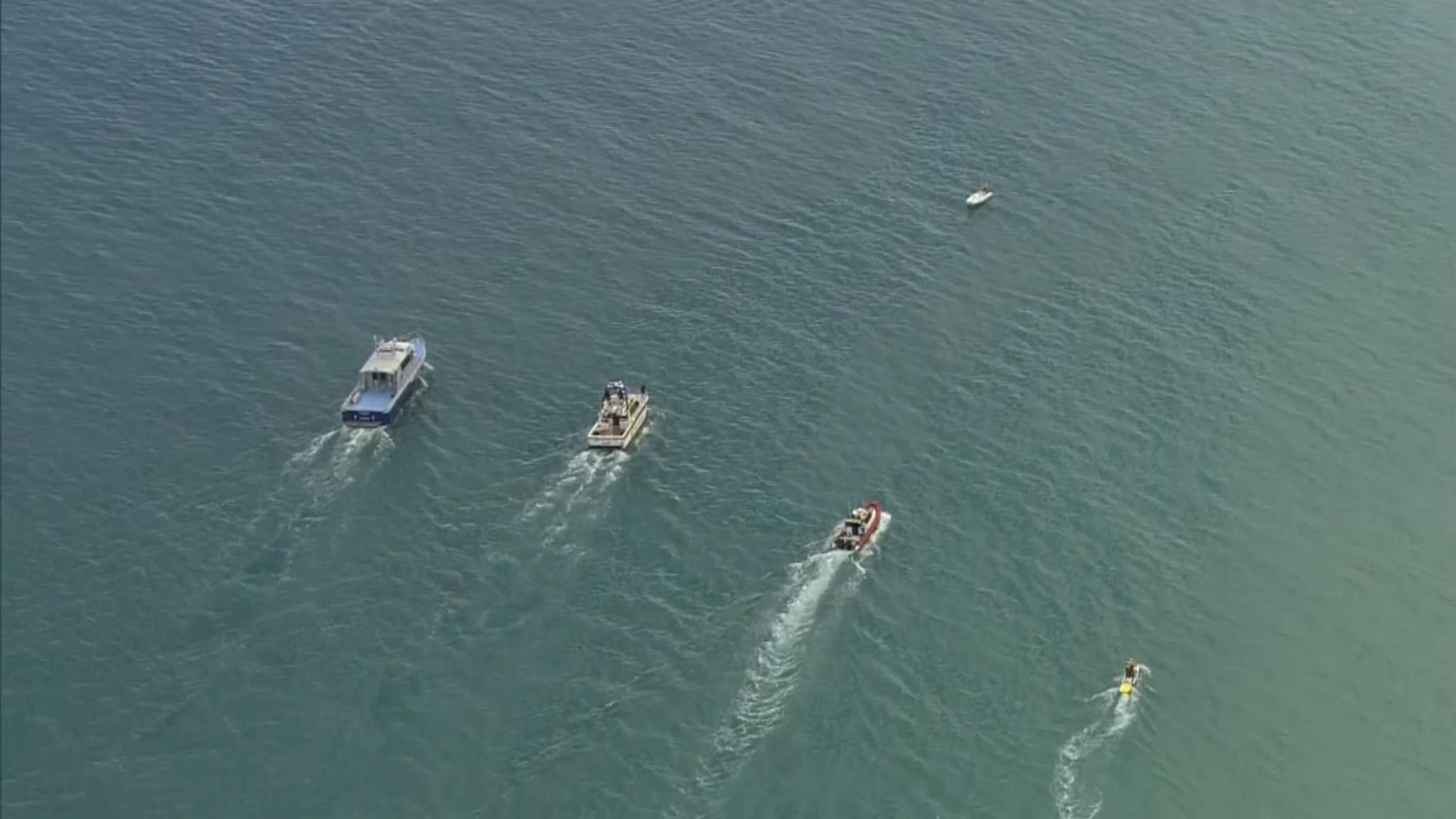 Australia shark attack: Wife pays tribute to 'wonderful' Briton killed ...