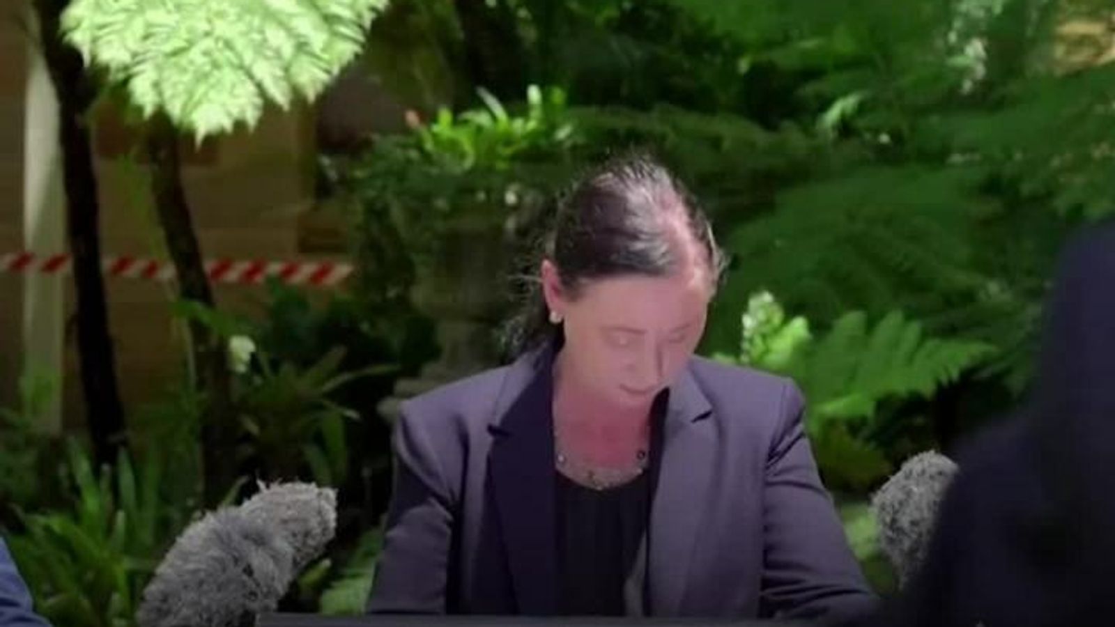 Huntsman spider interrupts Australian news conference | World News ...