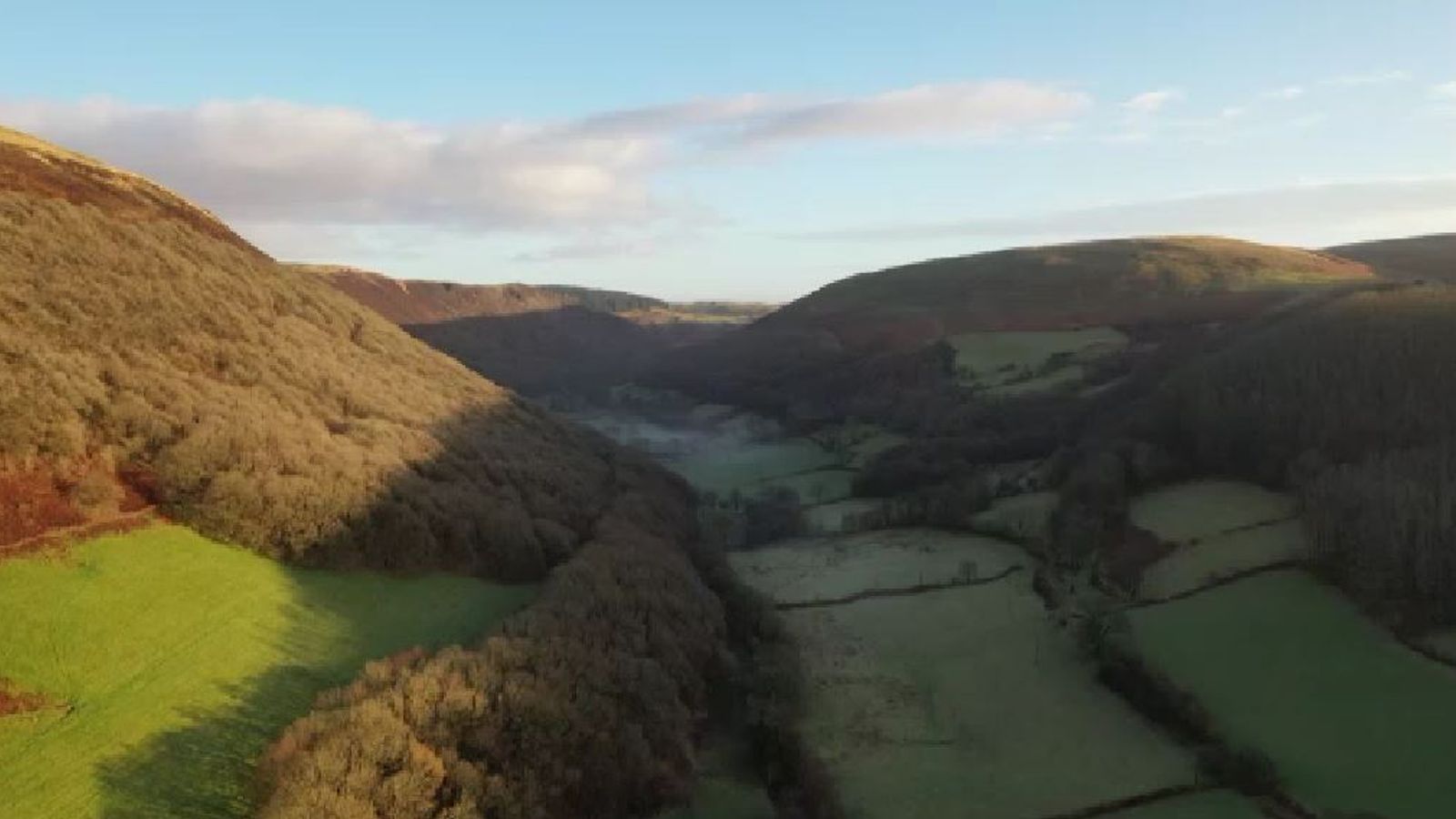 Plans to 'blanket' plant trees across Wales could 'decimate' farming ...