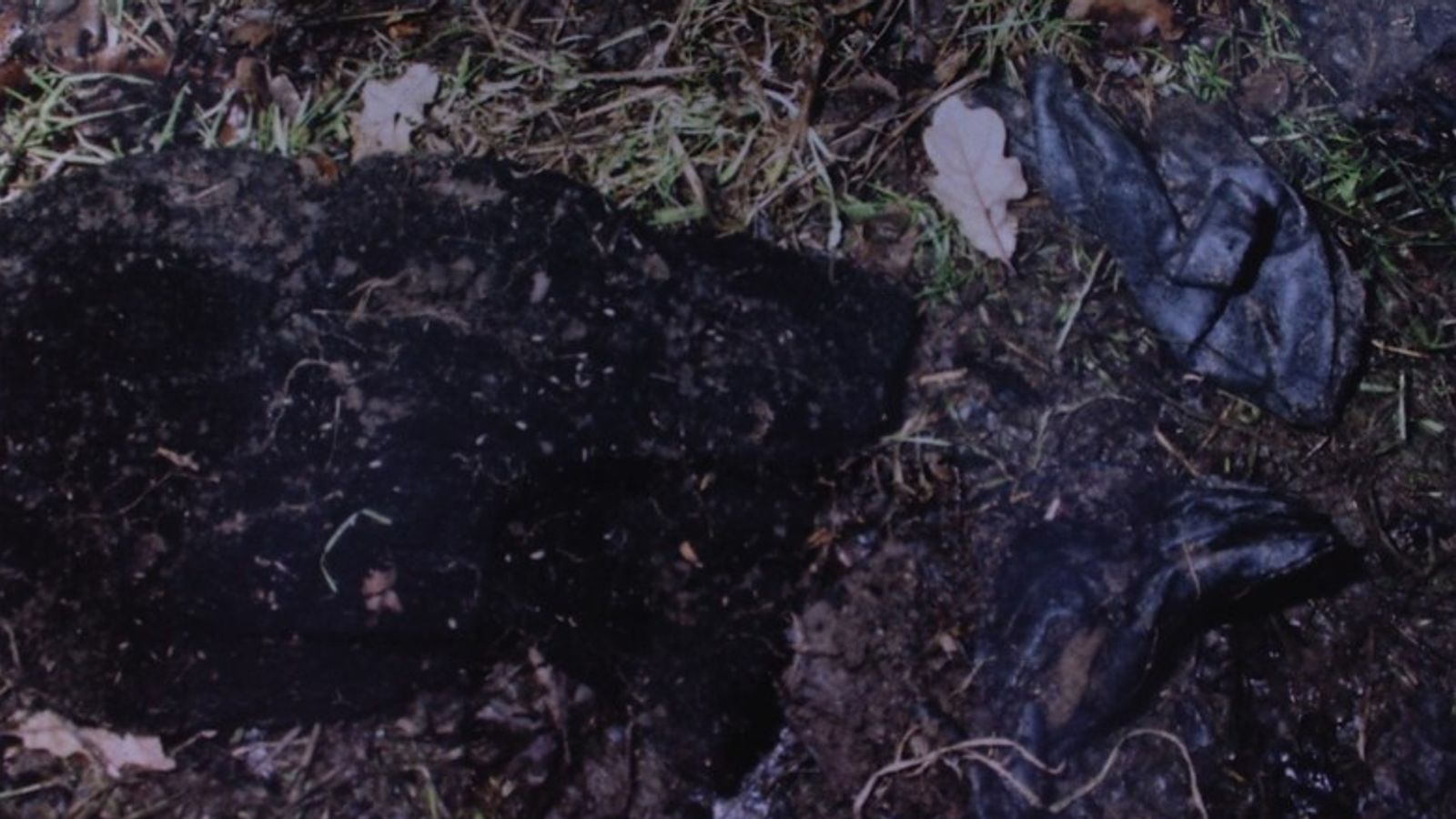 Undercover TV researcher Christopher Guest More found guilty of torture ...