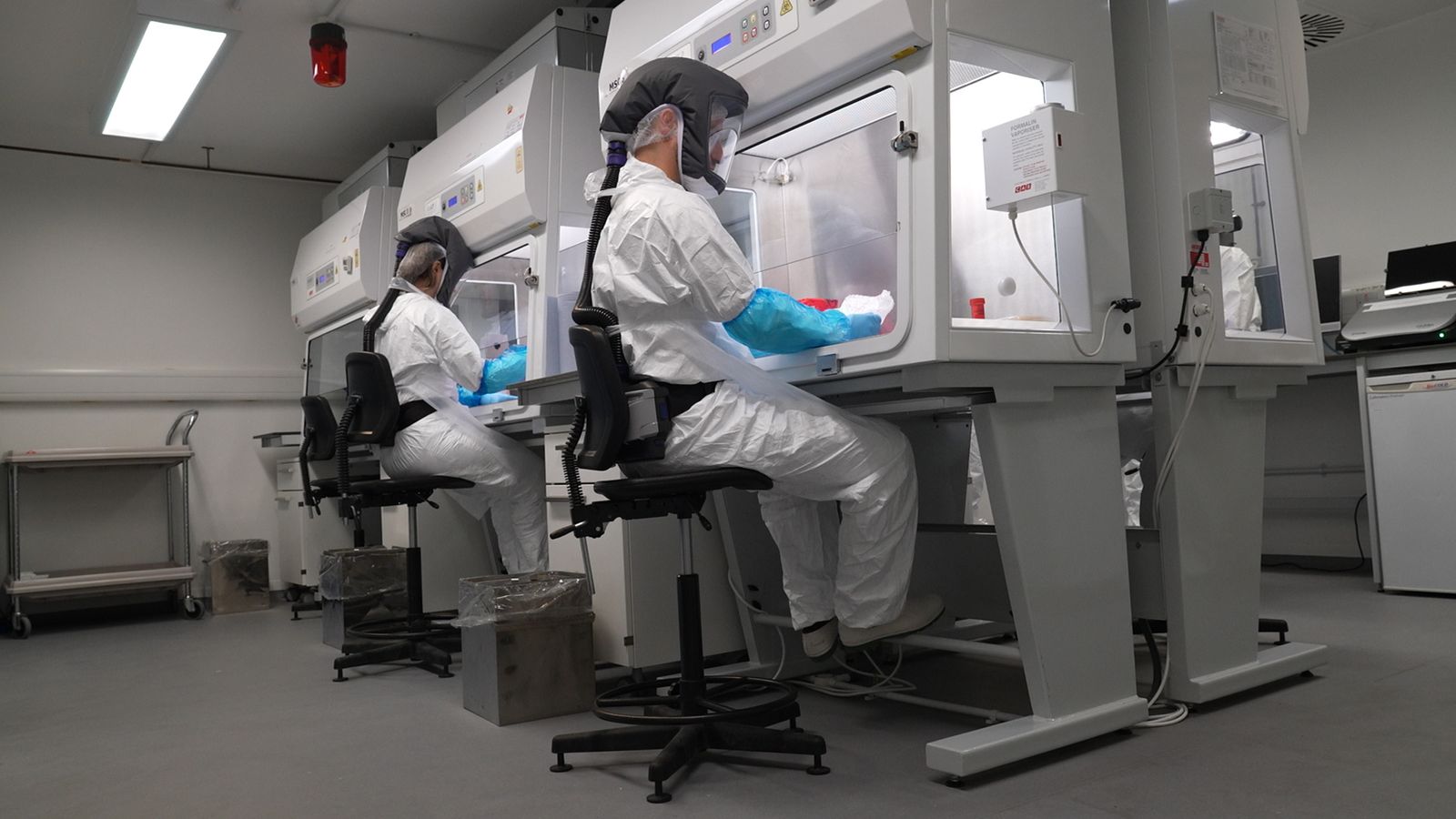 COVID-19: 'Potentially dangerous but precious' sample of Omicron ...