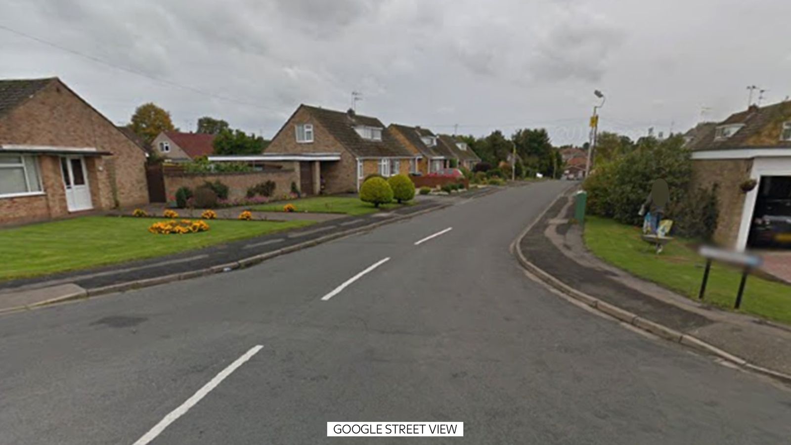 Stolen snakes: Police hunt burglar who packed 15 royal pythons into ...