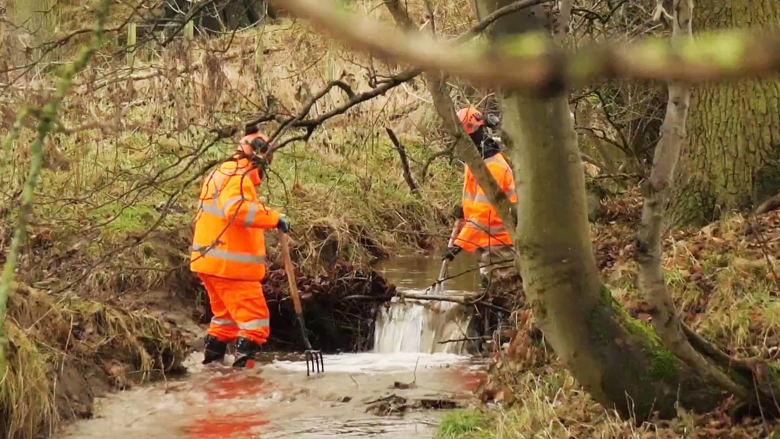 Using nature to fight flooding in Yorkshire | News UK Video News | Sky News