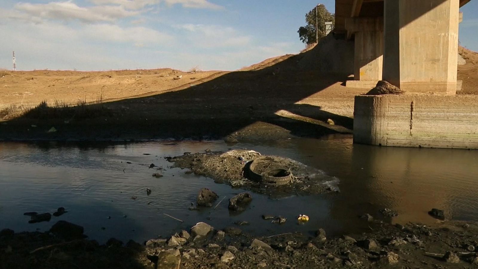 'Aleppo boil': Insecticides desperately needed in Syria to tackle ...