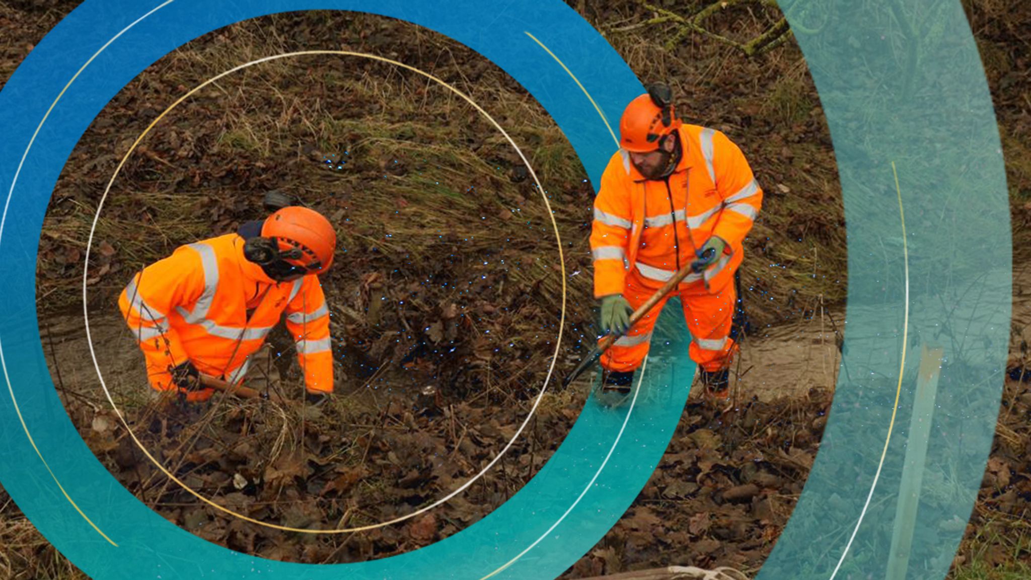 Humans building beaver-like 'leaky dams' to help protect millions from ...