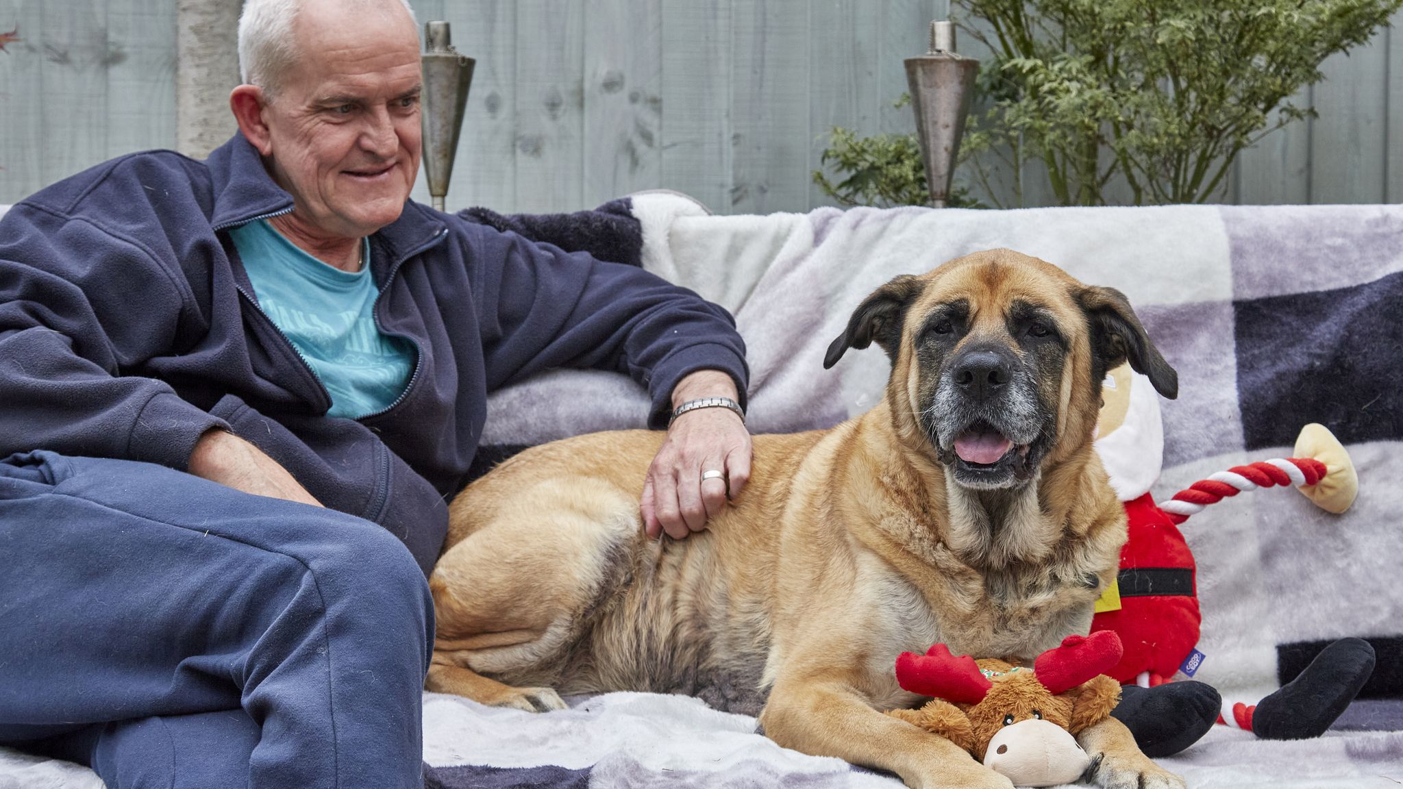 Molly-Moo: Dog 'dumped like rubbish' on dangerous road just before ...