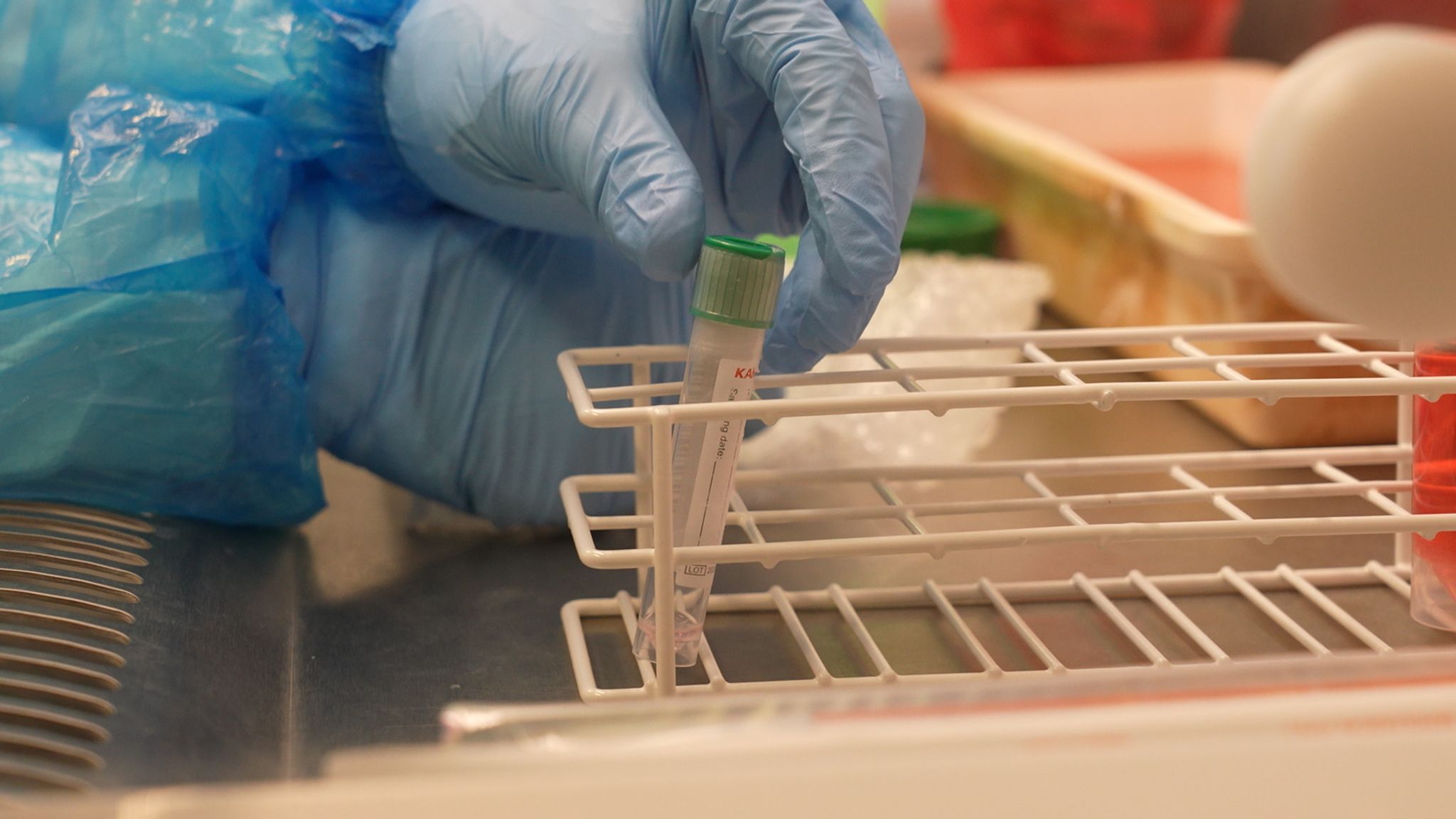 COVID-19: 'Potentially dangerous but precious' sample of Omicron ...