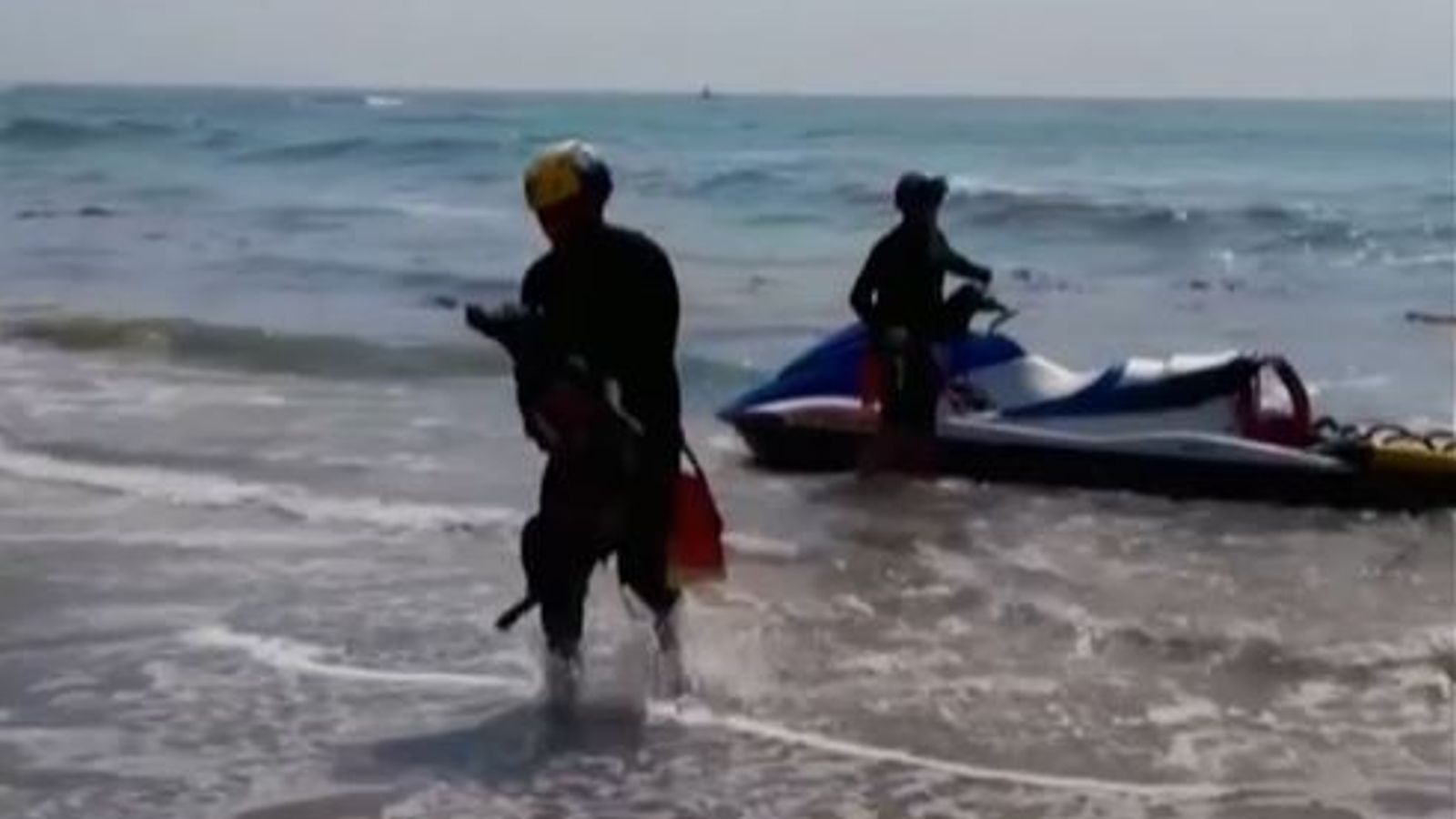 Lifeguards on jet ski rescue dog struggling at sea off Malibu | US News ...
