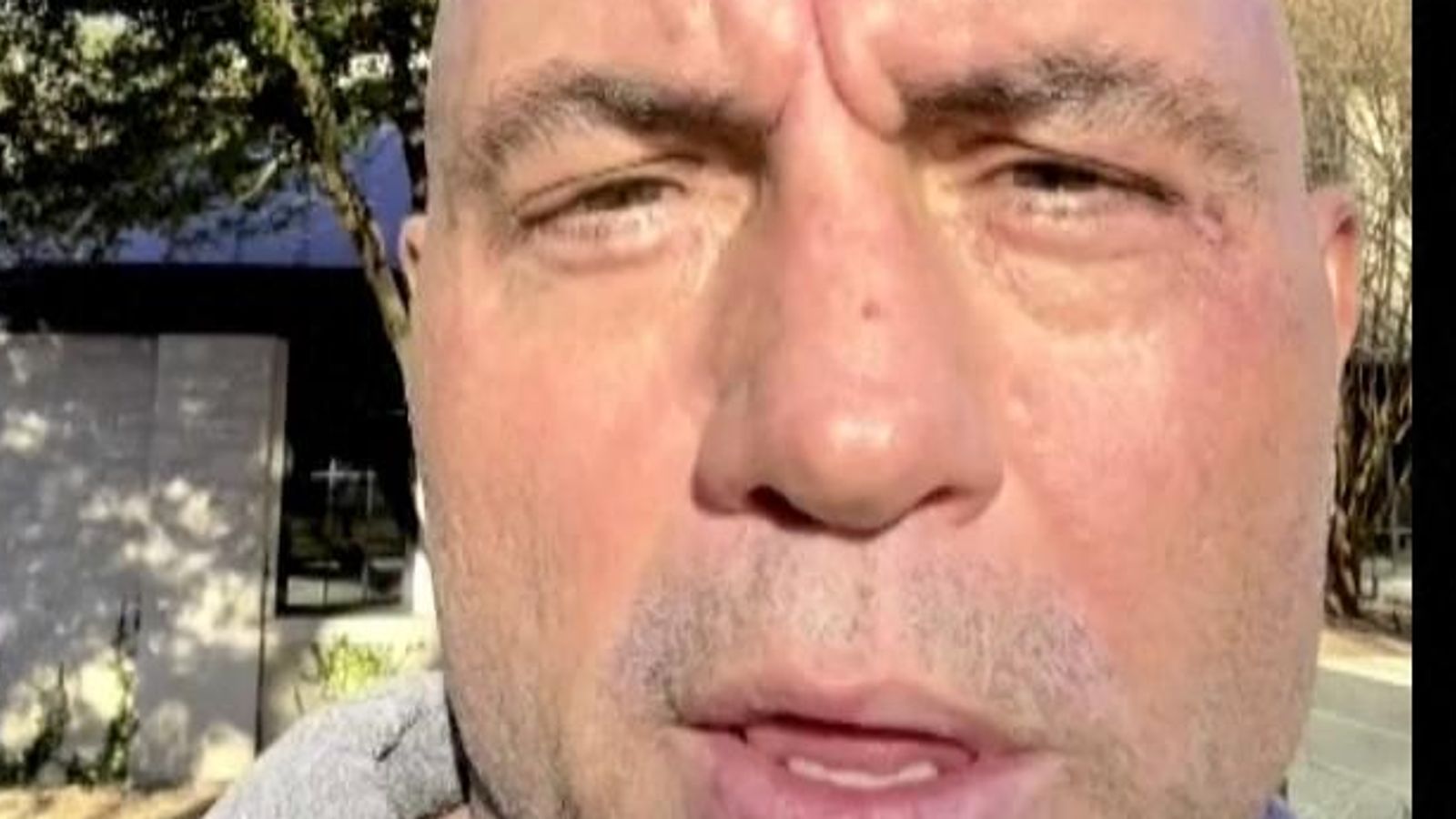 COVID-19: Joe Rogan will change his Spotify podcast format after Neil ...