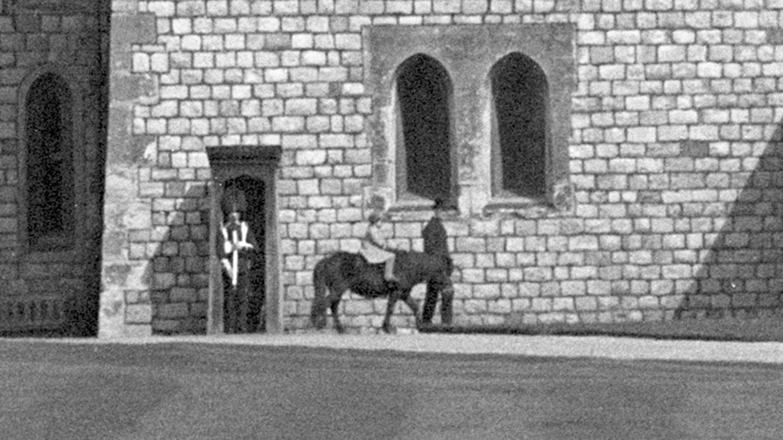 The Queen and her lifelong passion for animals - from dynasty of corgis ...