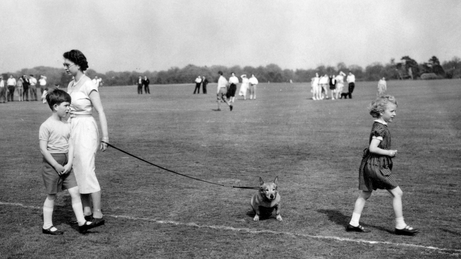 The Queen and her lifelong passion for animals - from dynasty of corgis ...