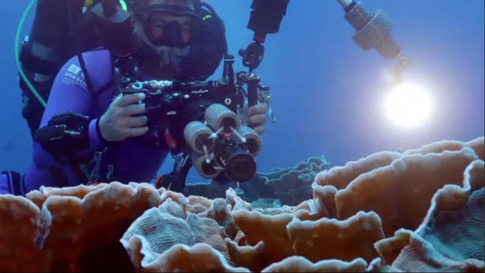 Why scientists are excited by a rose-shaped coral reef discovery | Sky News