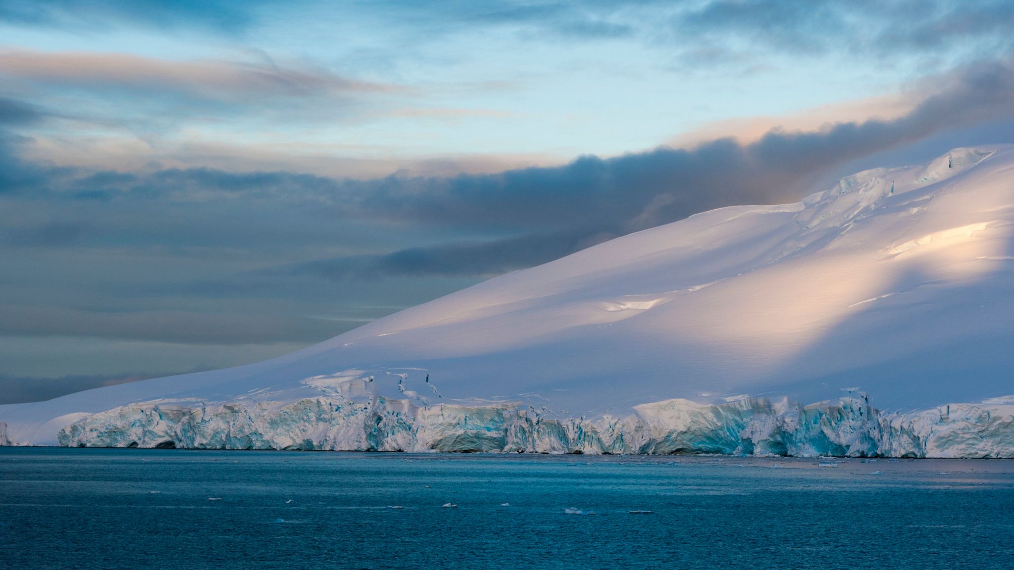 Antarctica: Sea creatures 'hitchhiking' on ships could damage continent ...