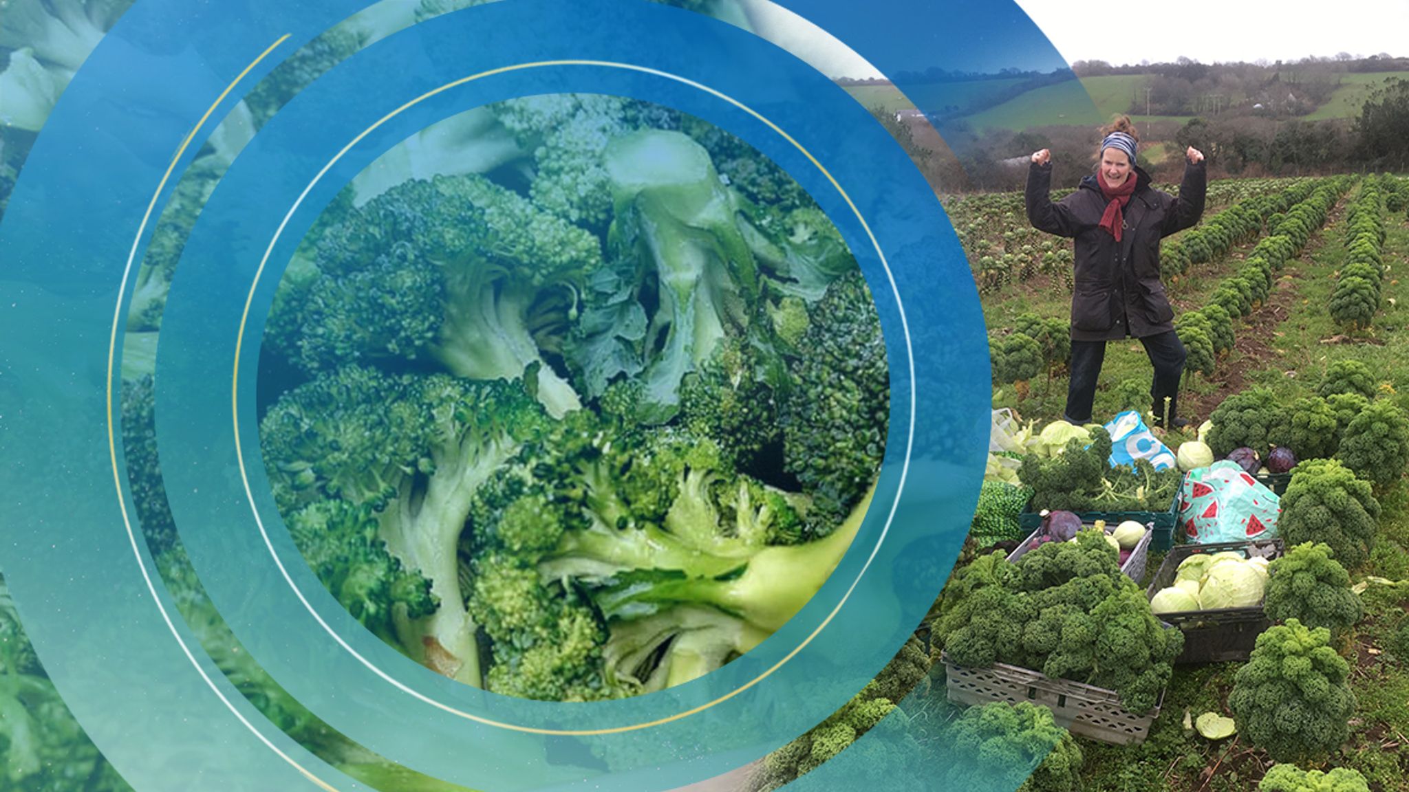 Ancient practice saves leftover crops to tackle food poverty - and helps the environment too ...